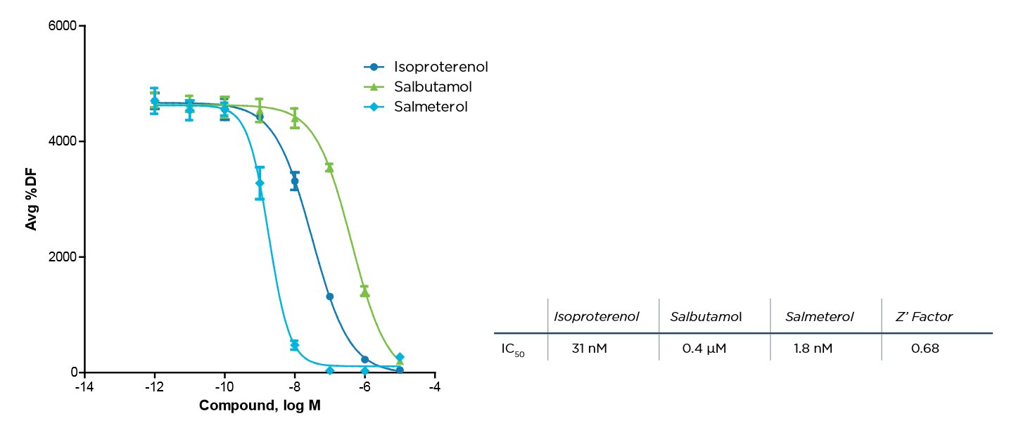 从未有过的全新组合方案-小分子新药开发一步到位