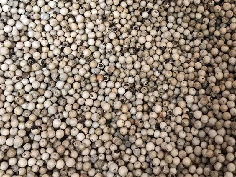 香料如何进行分选？